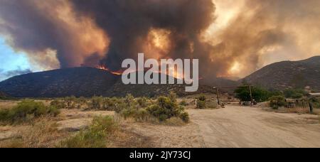 Hemet, California, USA. 6th Sep, 2022. Crews battle the Fairview fire ...