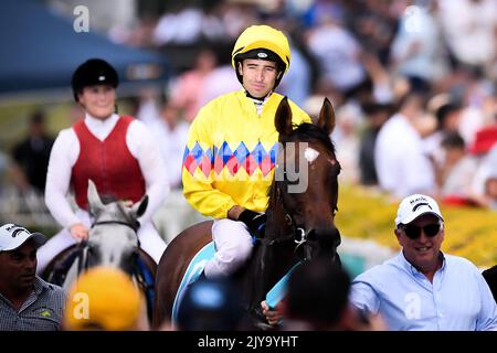 Jockey Michael Rodd returns to scale after riding Vega One to victory ...