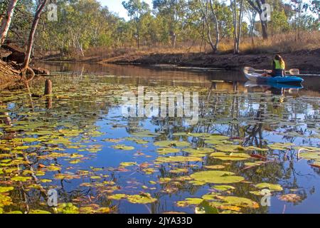 Kayaking on the dam at Cobbold Gorge Village Stock Photo - Alamy