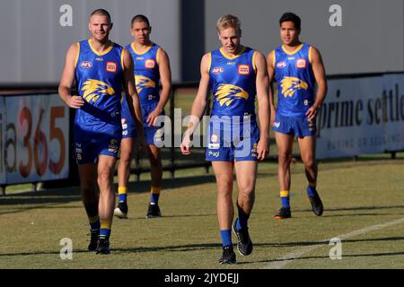 Jarrod Cameron and Anthony Treacy are seen during an AFL West Coast ...