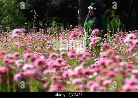 Jubaida Islam enjoys the first day of spring as she poses for her ...