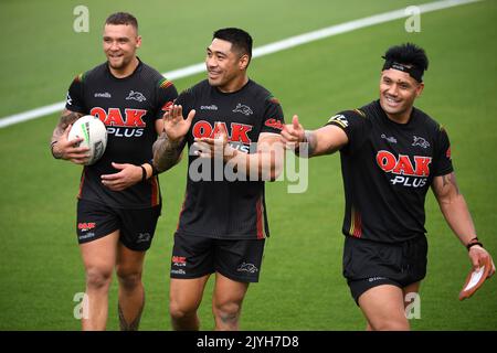 Moses Leota of the Panthers during an open training session and fan day ...
