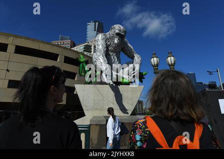 People observe a large-scale sculpture of chimpanzee David Greybeard ...
