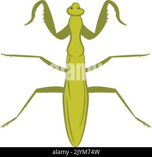 Cricket Insect Top View Vector Illustration Stock Vector Image & Art ...