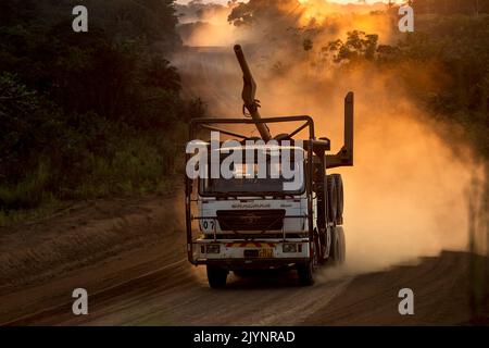 Exploitation of wood (Moabi, kevazingo, ebony,?). Storage and ...