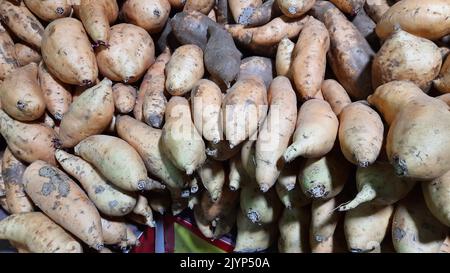 Ubi Cilembu or local sweet potato (Ipomoea batatas) from Cilembu ...