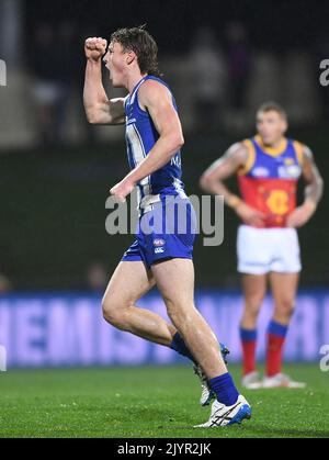 Nick Larkey of North Melbourne reacts after kicking a goal during the ...