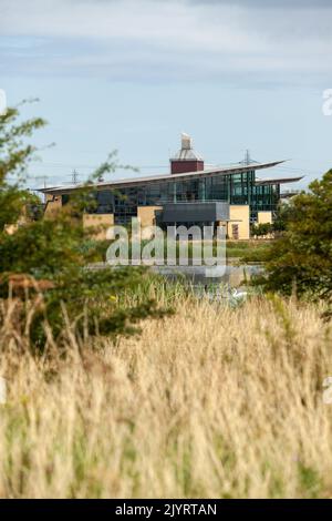 The RSPB centre at Saltholme, Middlesbrough, England Stock Photo - Alamy