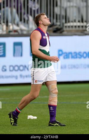 Sean Darcy of the Dockers reacts after kicking a goal during the Round ...