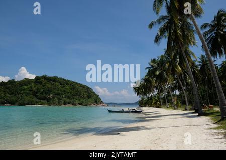 Indonesia Anambas Islands - Idyllic beach with huge palm trees Stock ...