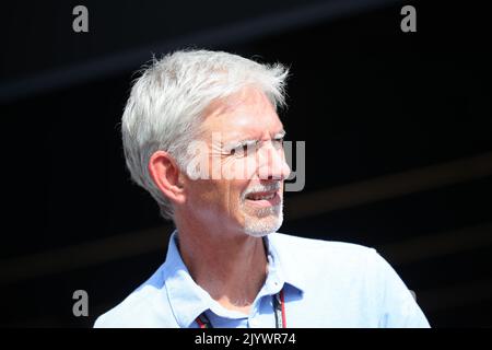 Damon Hill (GRB) former f1 driver, with Williams Arrows Jordan, 1996 F1 ...