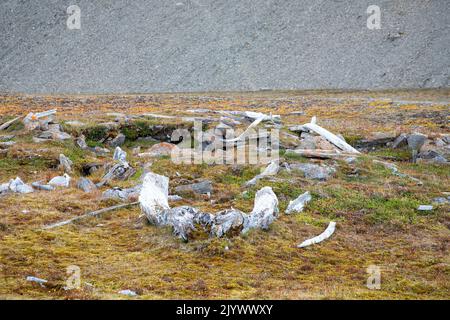 Thule people archaeological site at Caswell Tower in Radstock Bay ...