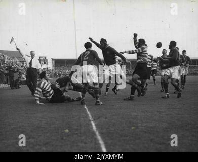 Australian rugby league scrum half Andrew Johns is greeted by the media ...