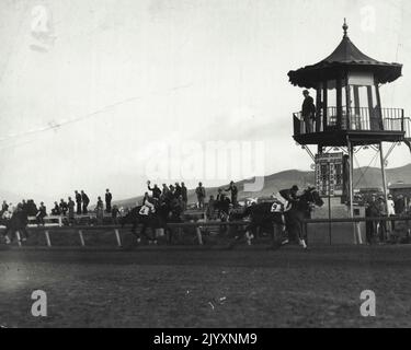 Horse Racing, Agua Caliente Race Track, approx 1930s postcard. unknown ...