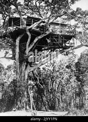 Treetops hotel, Kenya Stock Photo - Alamy