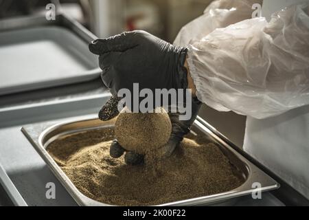 A farmer in black gloves sprinkle black pepper on a cheese ball. The ...