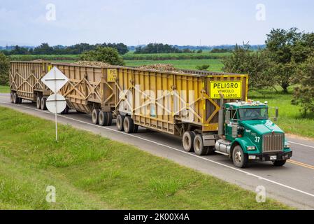 Colombia, area north of Cali in the Valley del Cauca is the sugar cane ...