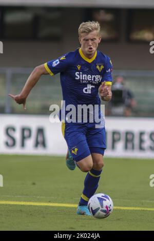 Josh Doig of Hellas Verona FC during Hellas Verona vs Virtus Verona, 3 ...