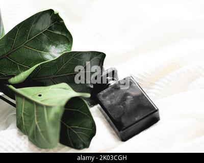 An indoor plant decoration with a bottle of perfume placed on a white ...