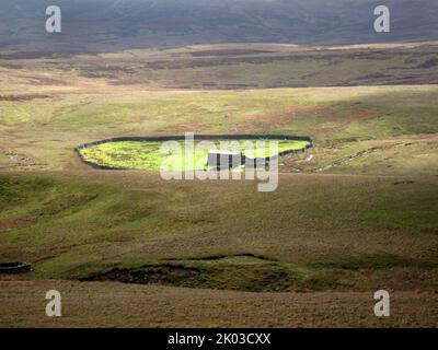 old stone cottage and enclosure on Birkdale Common,Yorkshire Dales ...