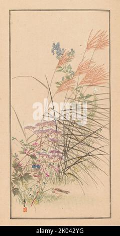 Shubi gakan (Drawing Methods for Aesthetic Pictures), 1889. Private ...