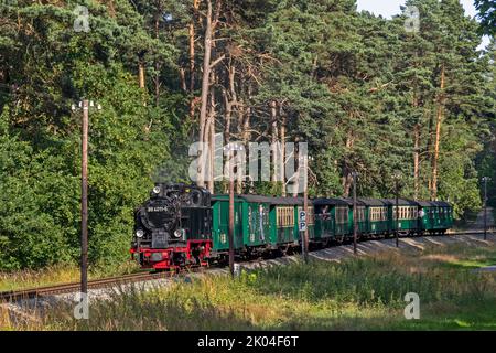 steam train Rasender Roland, near Sellin, Rügen Island, Mecklenburg ...