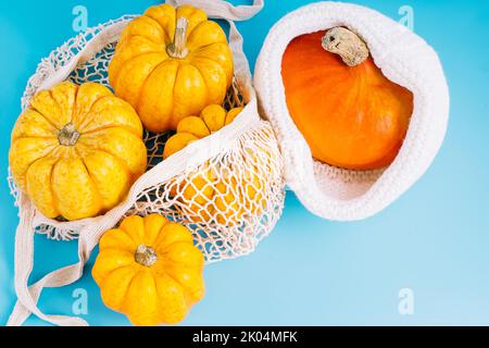 Various of pumpkins in a mesh bag of fabric on a blue background.Autumn ...