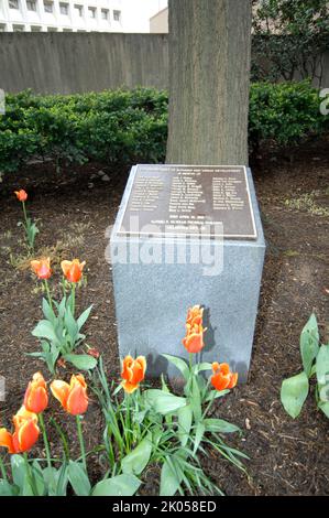 290333 Earth Day 09 Stock Photo - Alamy