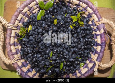 Mirto di Sardegna Stock Photo - Alamy