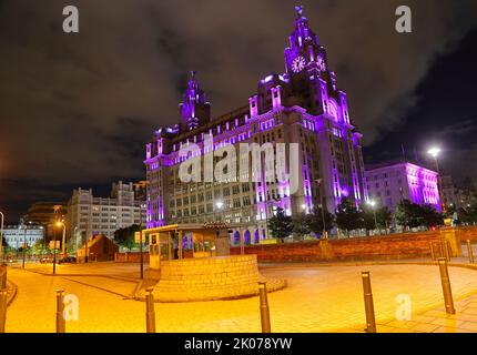 Liver building lit up purple Stock Photo - Alamy