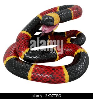 Eastern coral snake 3D illustration Stock Photo - Alamy