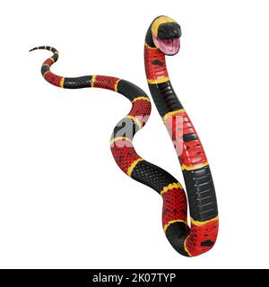 Eastern coral snake 3D illustration Stock Photo - Alamy