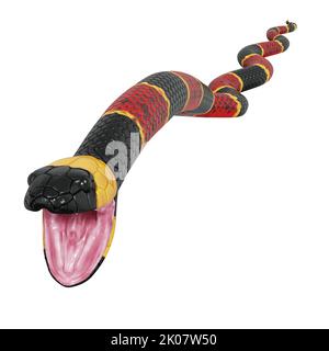 Eastern coral snake 3D illustration Stock Photo - Alamy
