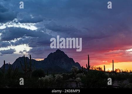 Ragged Top Mountain at Sunset Ironwood Forest National Monument Arizona ...