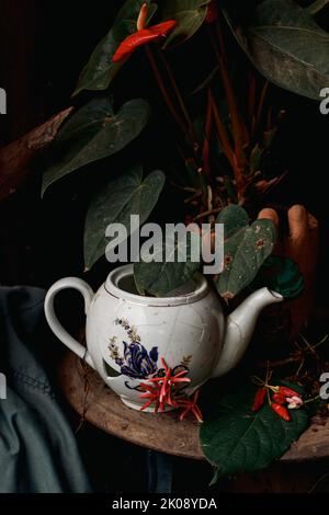Old broken vintage porcelain teapot on a coffee table Stock Photo - Alamy