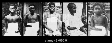 King Leopold II of Belgium's administration of the Congo Free State was ...