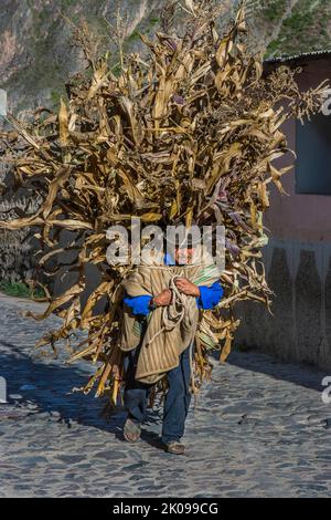 Indigenous corn in Otavalo,Ecuador Stock Photo - Alamy