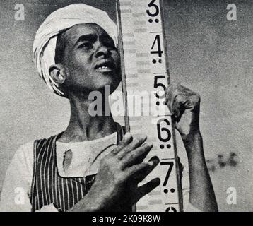 Archaeologists working on the tombs in Egypt Stock Photo - Alamy