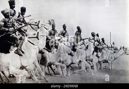 Mechanized section of the Egyptian Camel Corps which supported British ...