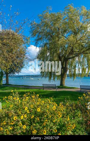 Boats on the shore of Allensbach on Lake Constance, Baden-Wuerttemberg ...