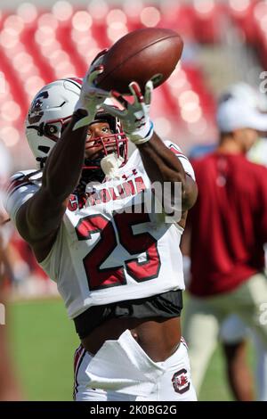 South Carolina running back Dante Miller (25) runs through an opening ...