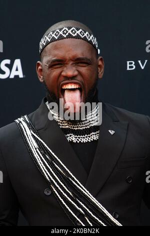 Sivuyile Ngesi attends the premiere of "The Woman King" at Roy Thomson Hall during the 2022 ...