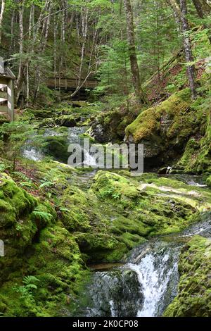 Dickson Falls, Fundy National Park, New Brunswick, Canada Stock Photo ...