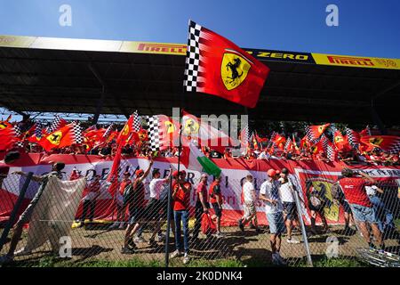 The Ferrari Tifosi in the stands before the Italian Grand Prix at the ...
