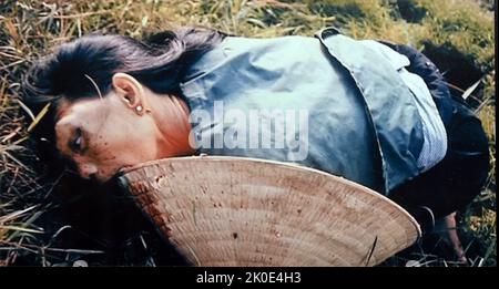 The My Lai massacre, was the mass murder of unarmed South Vietnamese ...