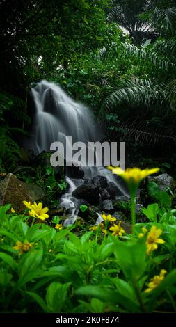 photo of a waterfall in aceh indonesia Stock Photo - Alamy