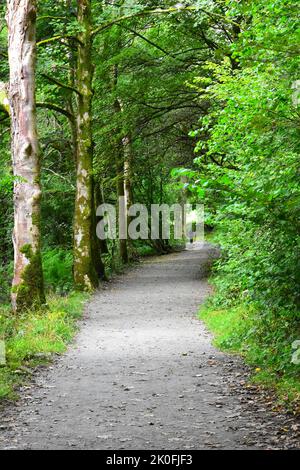 Walk by Great Langdale Beck to Elterwater, Lake District national park ...
