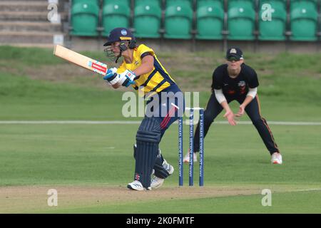 South East Stars Chloe Brewer during Rachael Heyhoe Flint Trophy ...