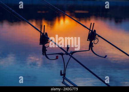 Fishing traffic lights for fishing for carp Stock Photo - Alamy