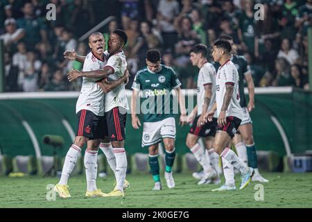 MATHEUS FRANCA of Flamengo during the match between Flamengo and ...